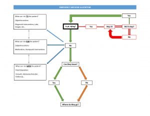 The EM Algorithm: A Simplified Approach For Early Success In Emergency ...